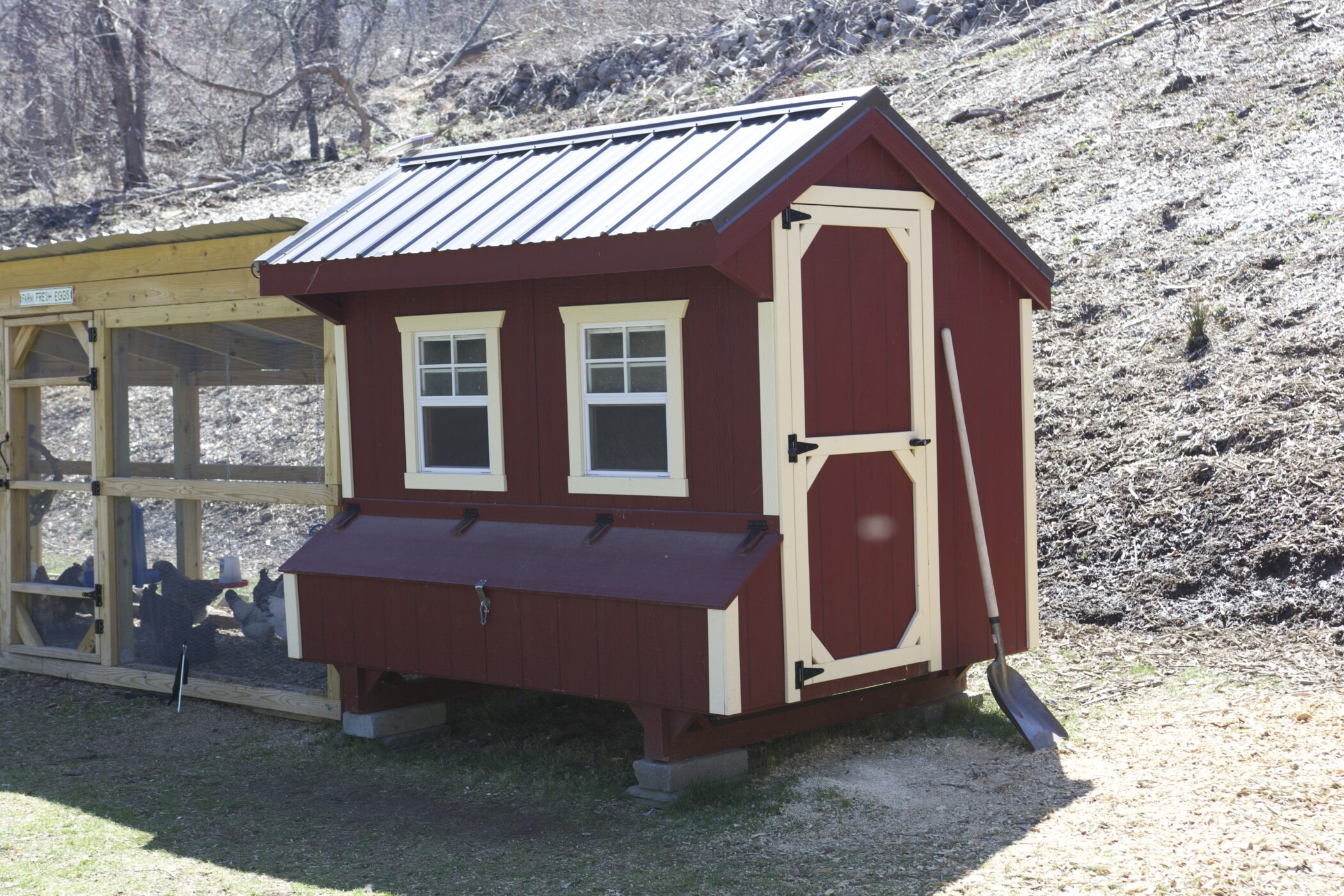 Joe’s 5×8 Quaker Chicken Coop in CT – Cluck & Coop