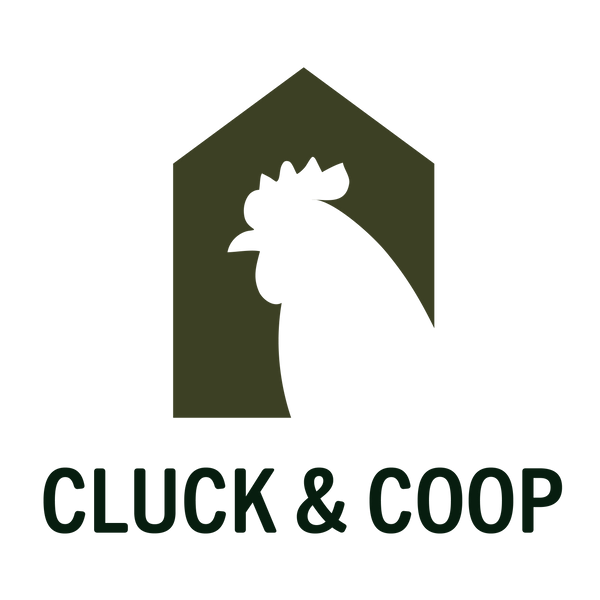 Setting Up a Chicken Coop in Your Backyard: Step-by-Step Guide – Cluck ...